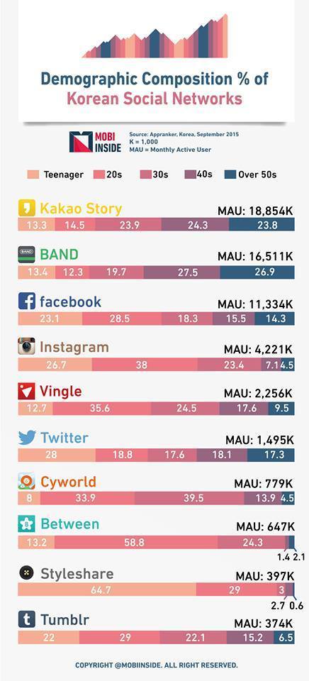 한국 SNS 사용자 연령별 분포.JPG - 인스티즈(instiz) 이슈 카테고리