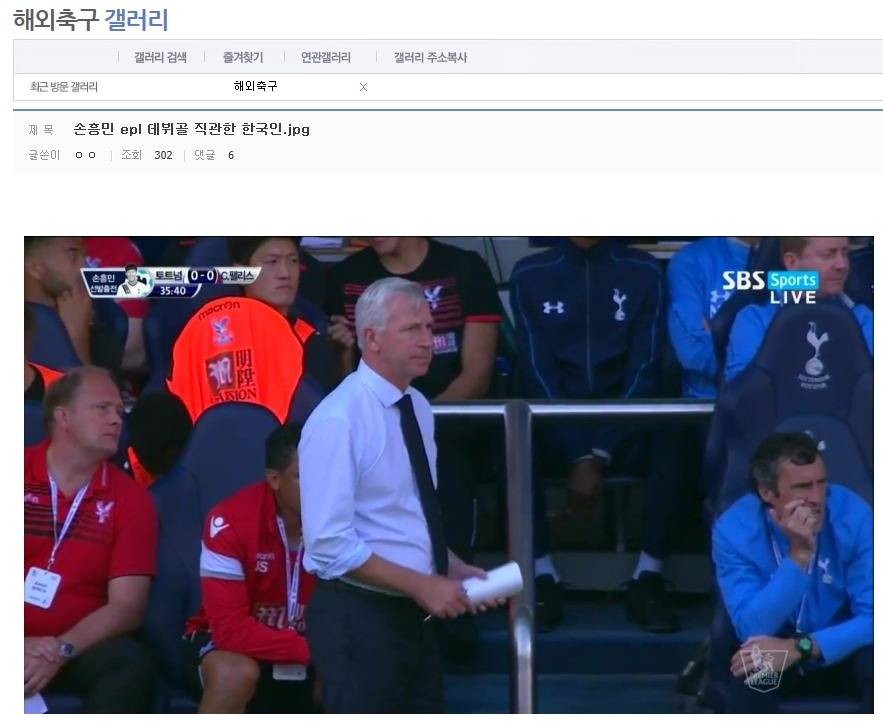 손흥민 epl 데뷔골 직관한 한국인.jpg - 인스티즈(instiz) 이슈 카테고리