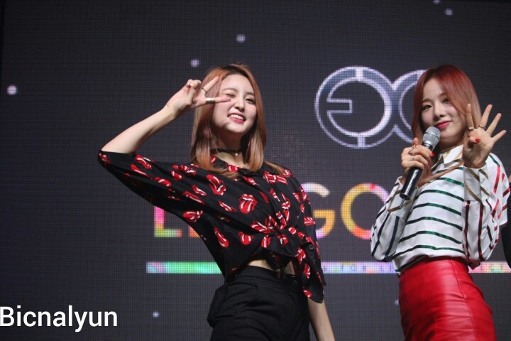 EXID 정화 보고가세요.jpg - 인스티즈(instiz) 이슈 카테고리