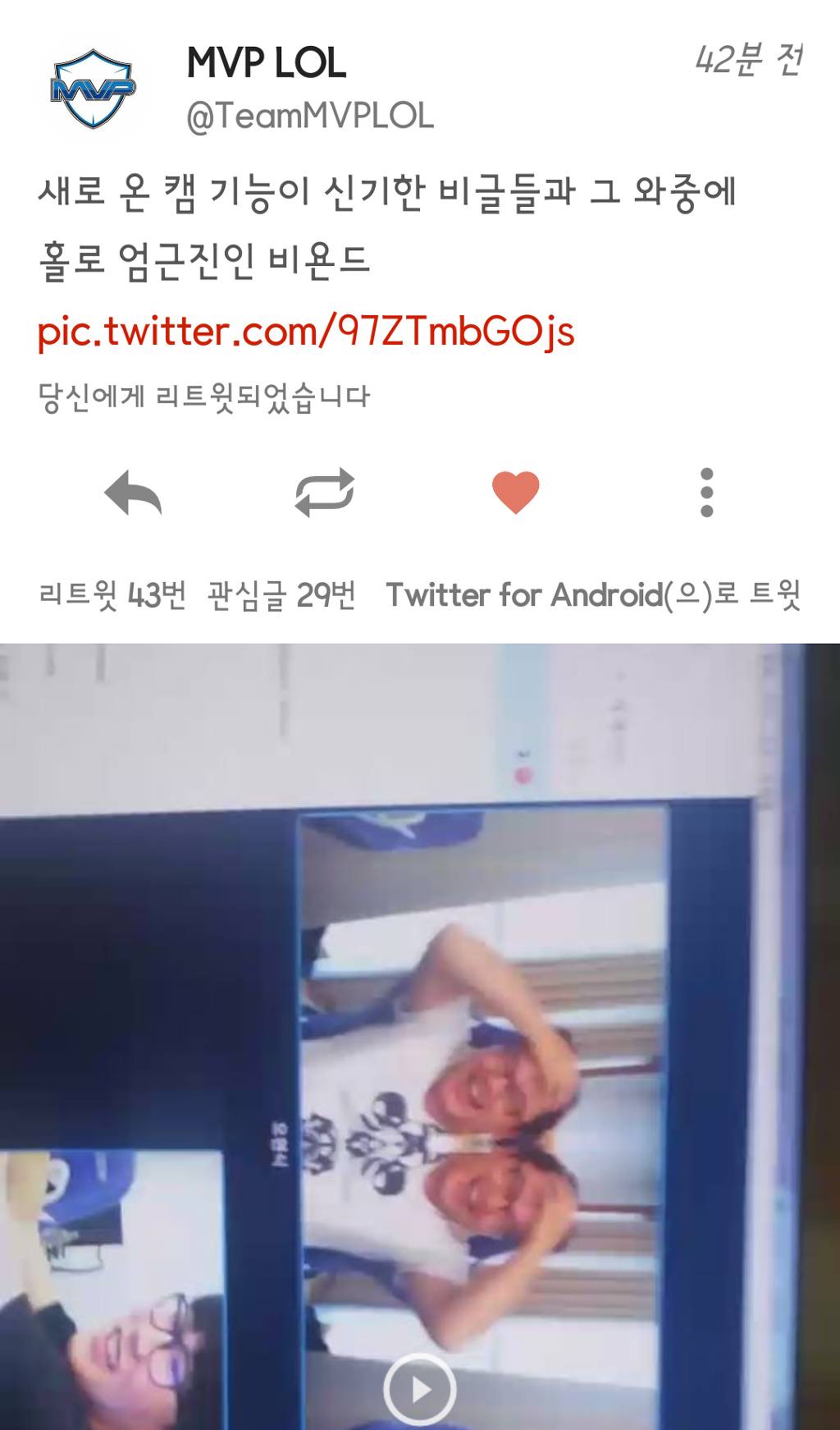 [lol] MVP 공식 트위터 현황 (feat. 고통받는 권감독님) - 인스티즈(instiz) 이슈 카테고리