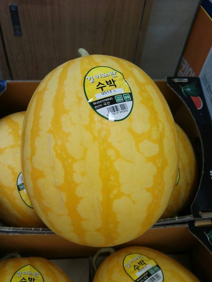 호불호 - 인스티즈(instiz) 이슈 카테고리