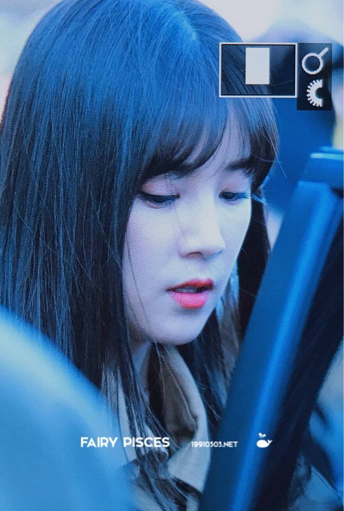 어제자 에이핑크 공항짤(초롱 보미 은지) - 인스티즈(instiz) 이슈 카테고리