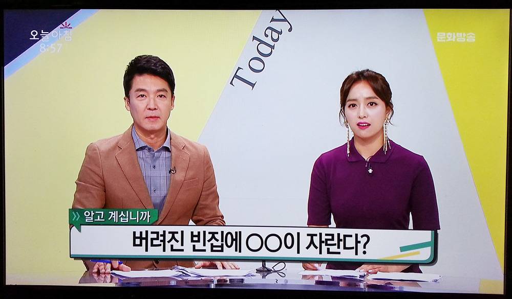 오늘자 한글날 Mbc 로고 상태 인스티즈 Instiz 이슈 카테고리