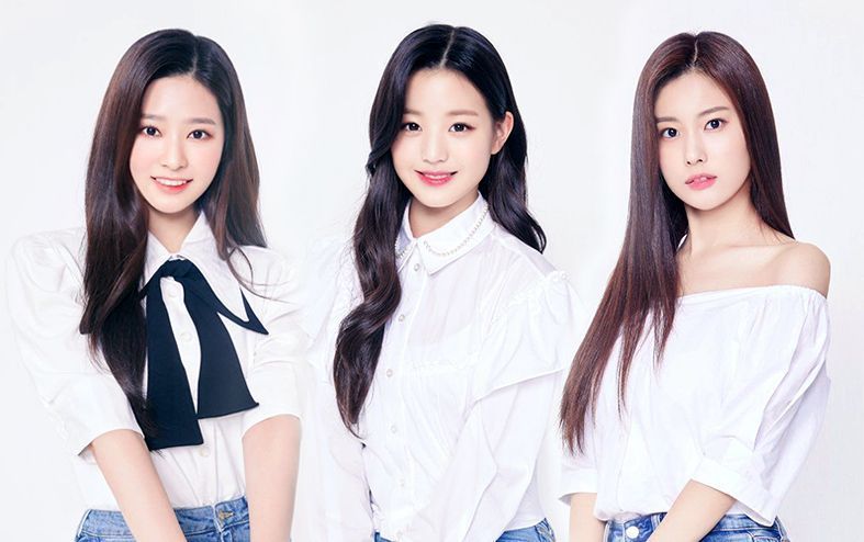 프로듀스 101 / 48 비주얼 라인 도결채 vs 장강김.jpg - 인스티즈(instiz) 이슈 카테고리