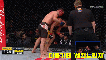 MMA경기에서의 이색적인 KO장면들.gif - 인스티즈(instiz) 이슈 카테고리