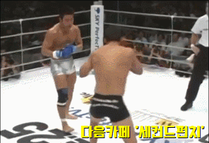 MMA경기에서의 이색적인 KO장면들.gif - 인스티즈(instiz) 이슈 카테고리