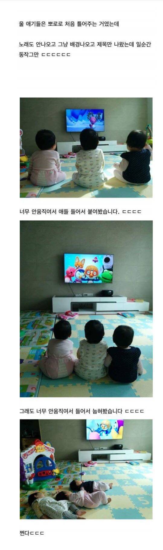 뽀로로 처음 본 아이 인스티즈 Instiz 이슈 카테고리