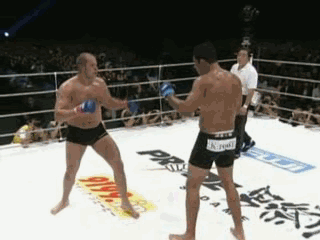 MMA의 황제, '60억 분의 1' 효도르 - 인스티즈(instiz) 이슈 카테고리