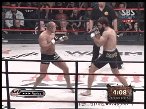 MMA의 황제, '60억 분의 1' 효도르 - 인스티즈(instiz) 이슈 카테고리