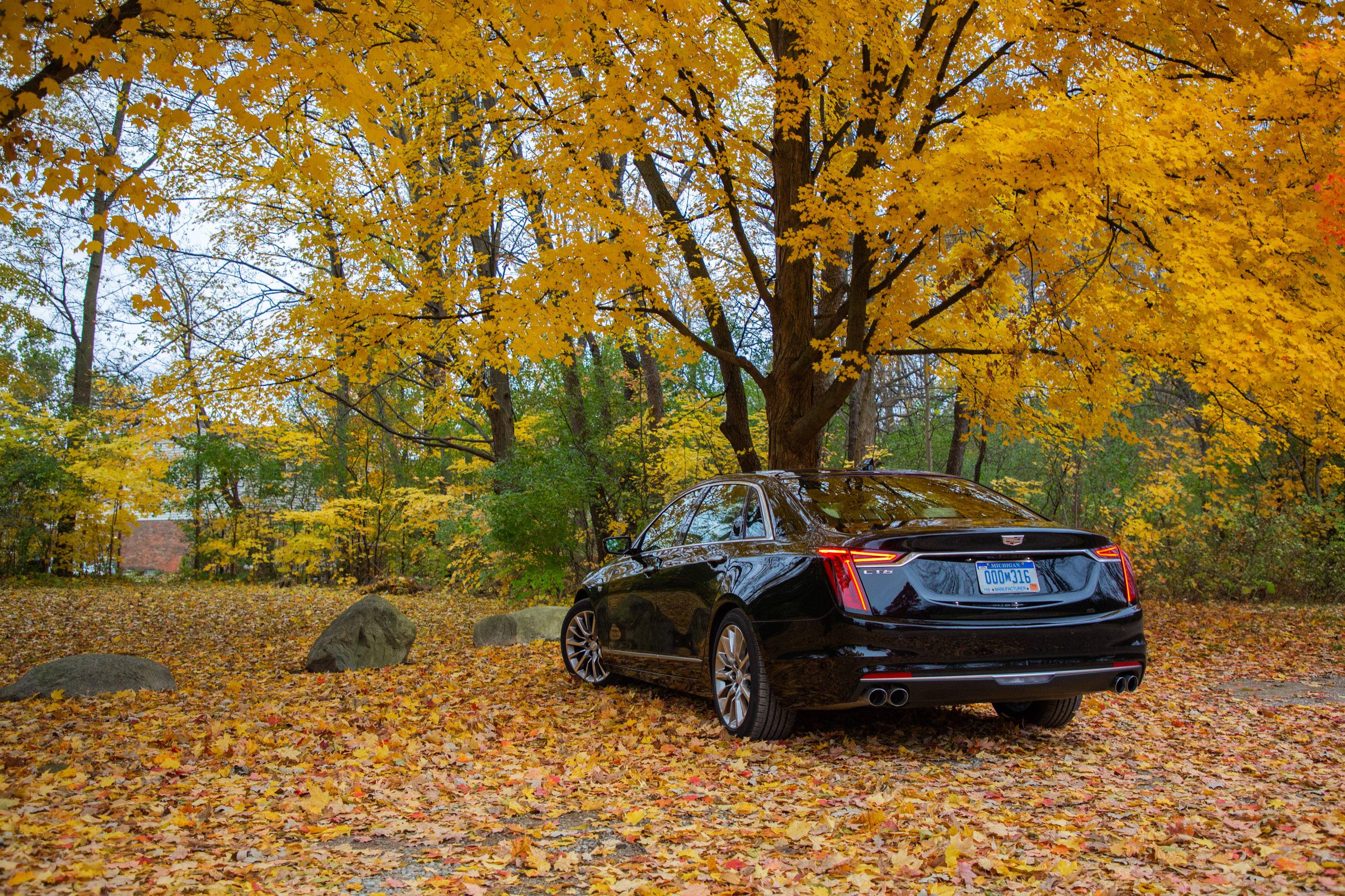 2019 캐딜락 CT6 2.0T 페이스리프트 [데이터주의] - 인스티즈(instiz) 이슈 카테고리