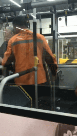 질럿 vs 히드라.gif - 인스티즈(instiz) 이슈 카테고리