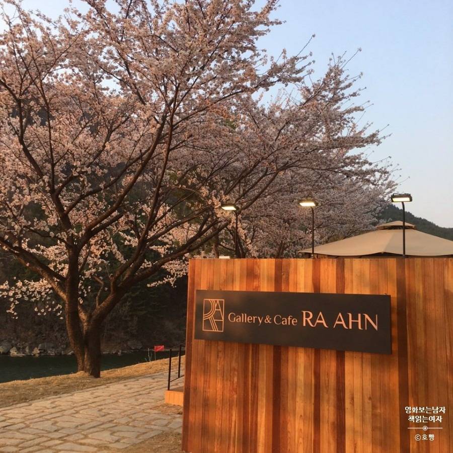 경남 사천 라안까페 - 인스티즈(instiz) 이슈 카테고리