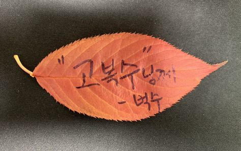 맥심 8월호 신예지 아나운서 - 인스티즈(instiz) 이슈 카테고리