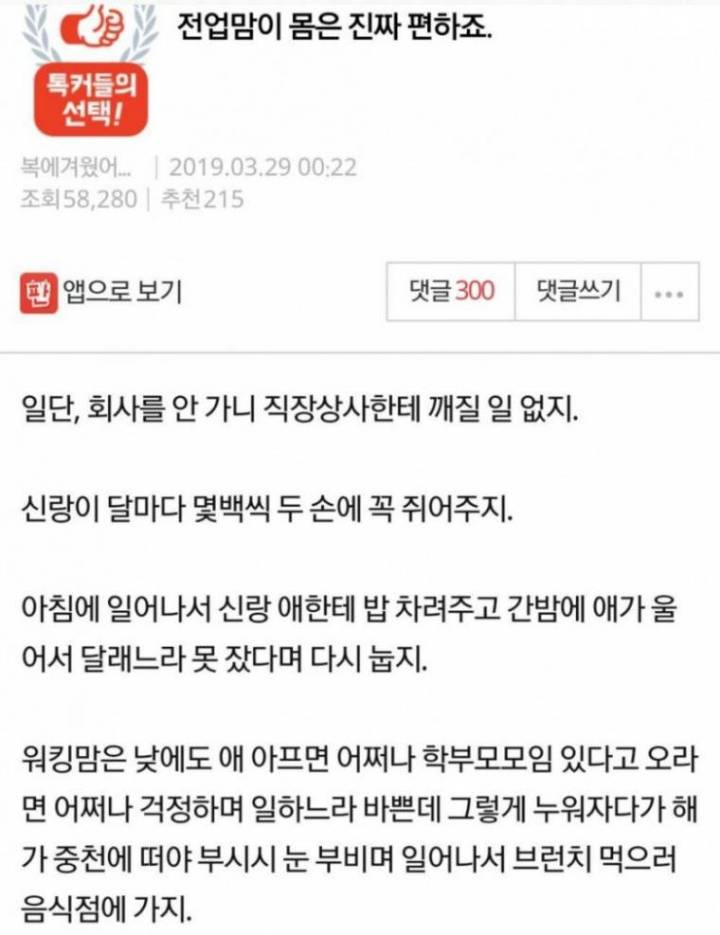 워킹맘vs전업주부 인스티즈 Instiz 이슈 카테고리
