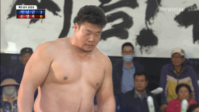 194cm 149kg 씨름선수 피지컬 - 인스티즈(instiz) 이슈 카테고리