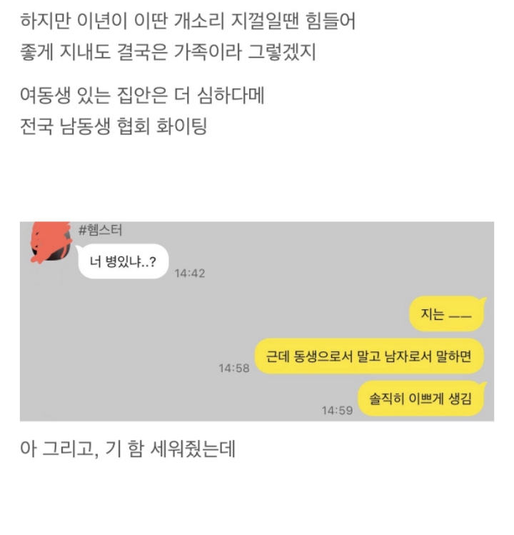 난 우리 누나가 좋아 인스티즈 Instiz 이슈 카테고리