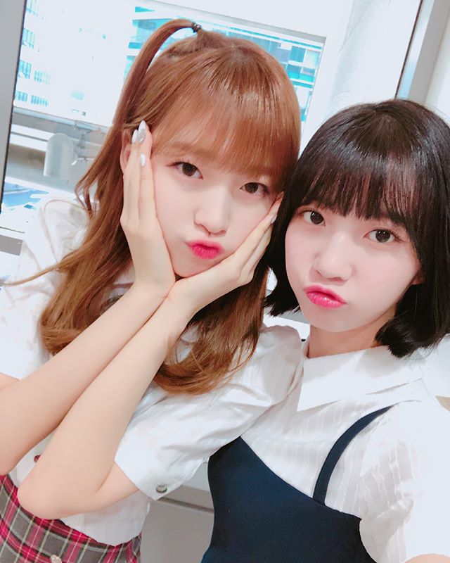 브이앱 미션수행하는 오마이걸 비니&아린 - 인스티즈(instiz) 이슈 카테고리