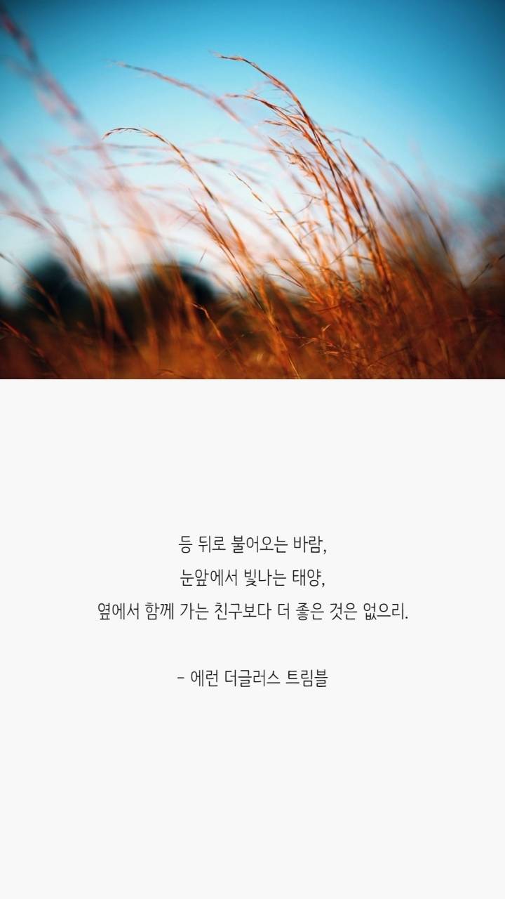친구에 대한 명언 인스티즈 Instiz 이슈 카테고리