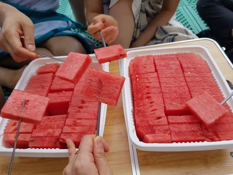 쥬씨 진주하대동점에서만 판매한다는 1.3kg 수박.jpg - 인스티즈(instiz) 이슈 카테고리