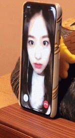 여자아이돌과 영상통화하는 느낌.gif - 인스티즈(instiz) 이슈 카테고리