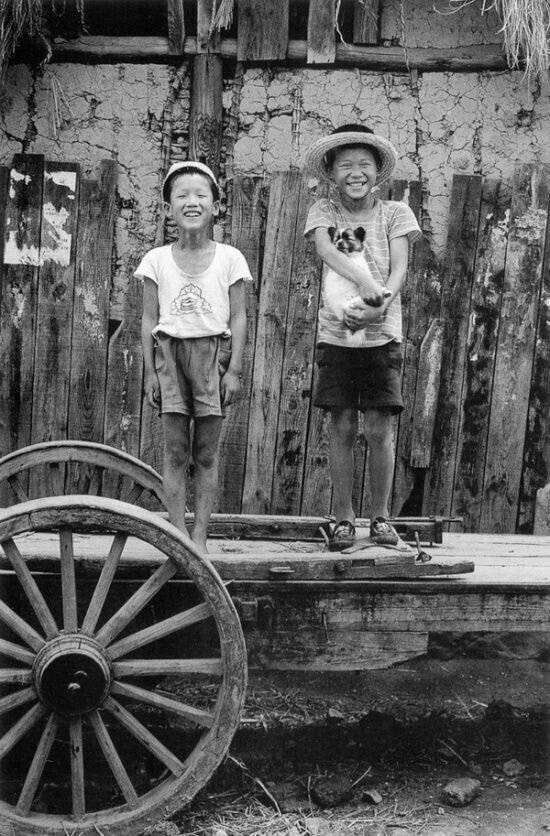 1970년대의 댕댕이 - 인스티즈(instiz) 이슈 카테고리