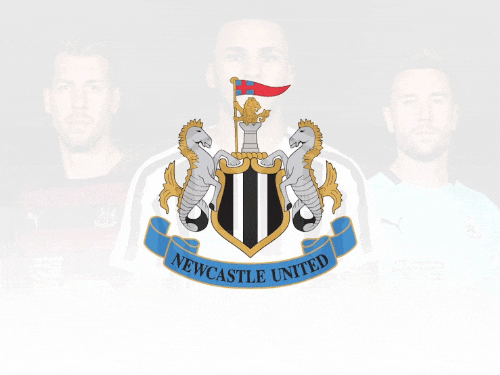 epl 구단 엠블럼 애니메이션.gif - 인스티즈(instiz) 이슈 카테고리