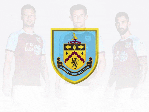 epl 구단 엠블럼 애니메이션.gif - 인스티즈(instiz) 이슈 카테고리