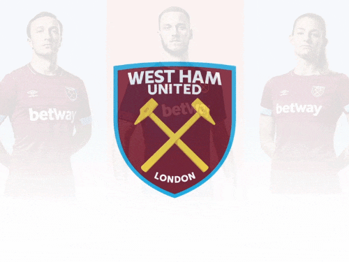 epl 구단 엠블럼 애니메이션.gif - 인스티즈(instiz) 이슈 카테고리