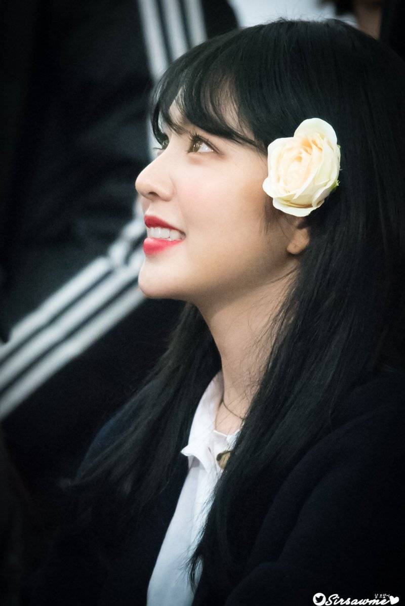 머리에 꽃 꽂은 여자 아이돌.jpgif - 인스티즈(instiz) 인티포털 카테고리