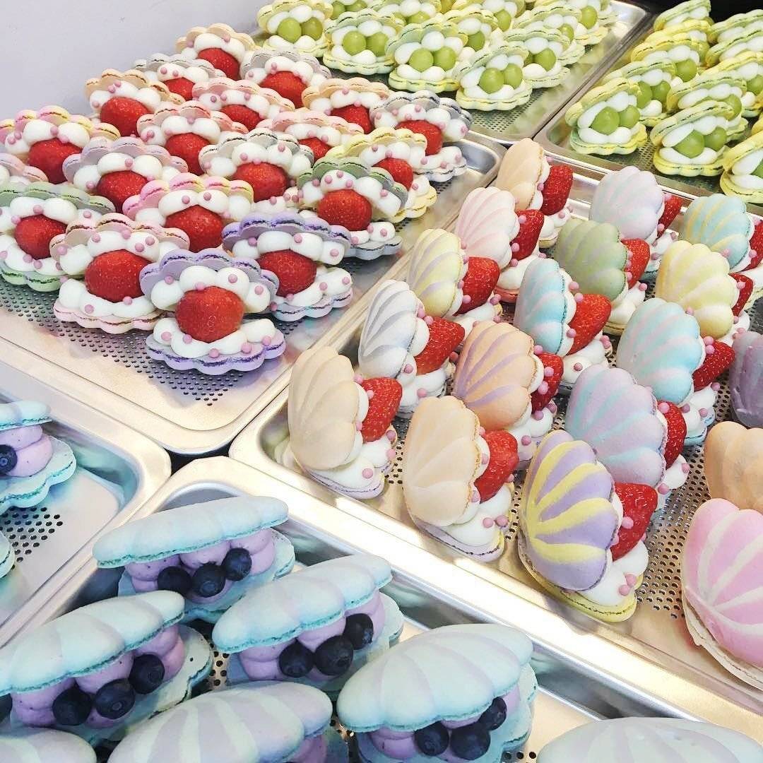 조개마카롱 클라스.JPG - 인스티즈(instiz) 인티포털 카테고리