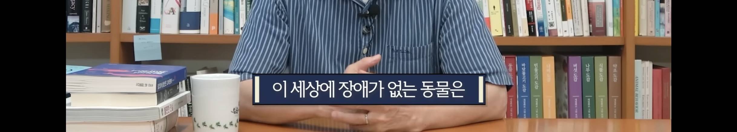 이상항 변호사 우영우가 고래를 좋아하는 이유 Feat 최재천의 고래카 인스티즈instiz 이슈 카테고리 