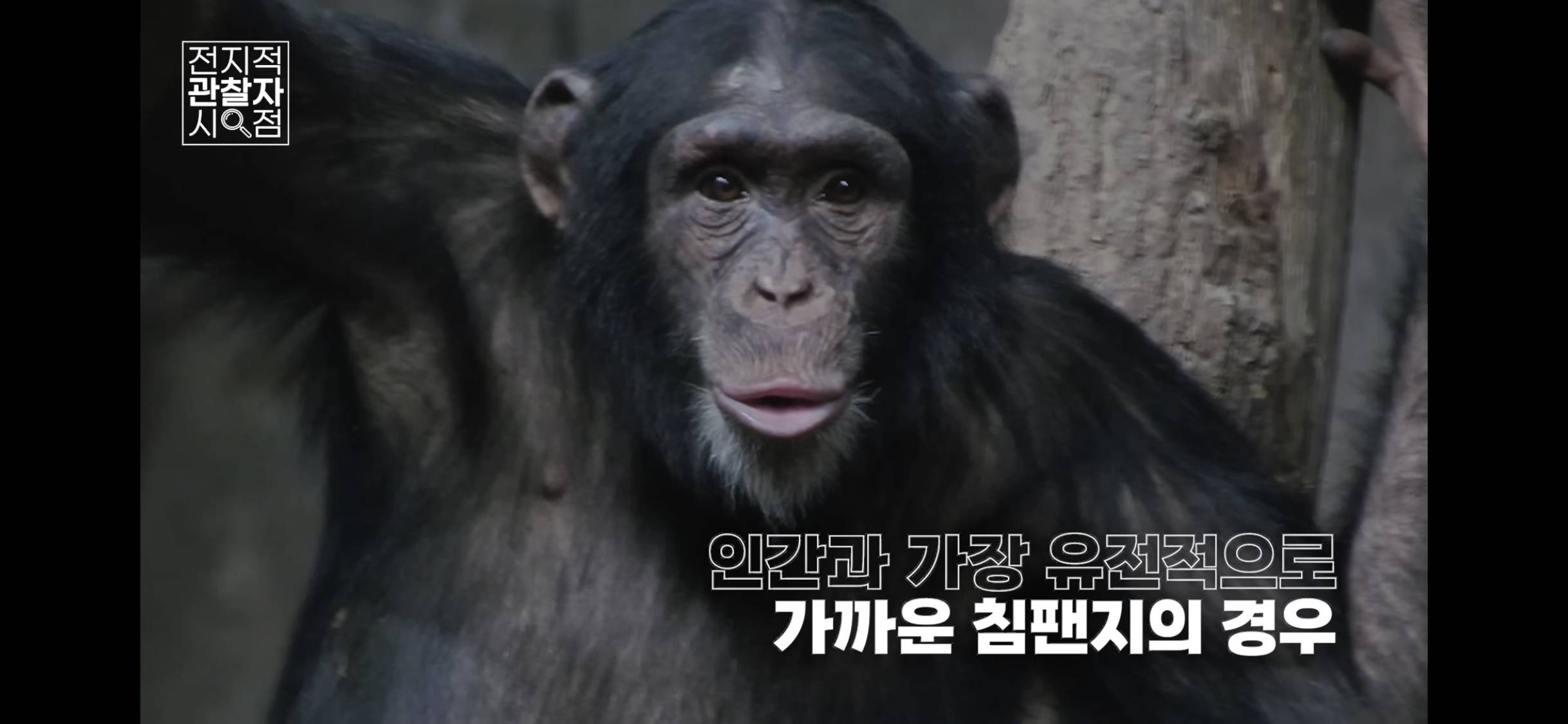 이상항 변호사 우영우가 고래를 좋아하는 이유 Feat 최재천의 고래카 인스티즈instiz 이슈 카테고리