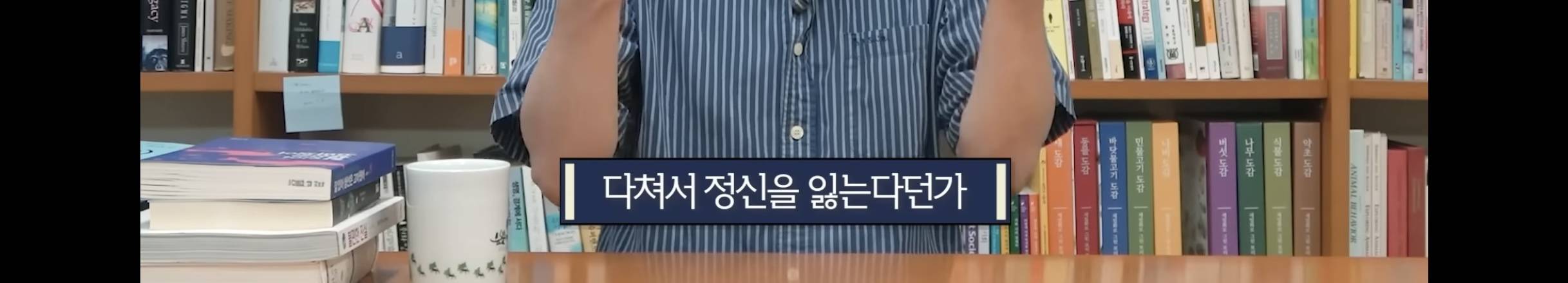 이상항 변호사 우영우가 고래를 좋아하는 이유 Feat 최재천의 고래카 인스티즈instiz 이슈 카테고리 