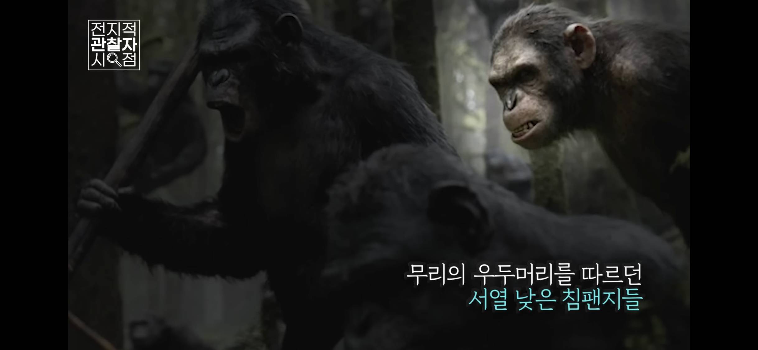 이상항 변호사 우영우가 고래를 좋아하는 이유 Feat 최재천의 고래카 인스티즈instiz 이슈 카테고리 