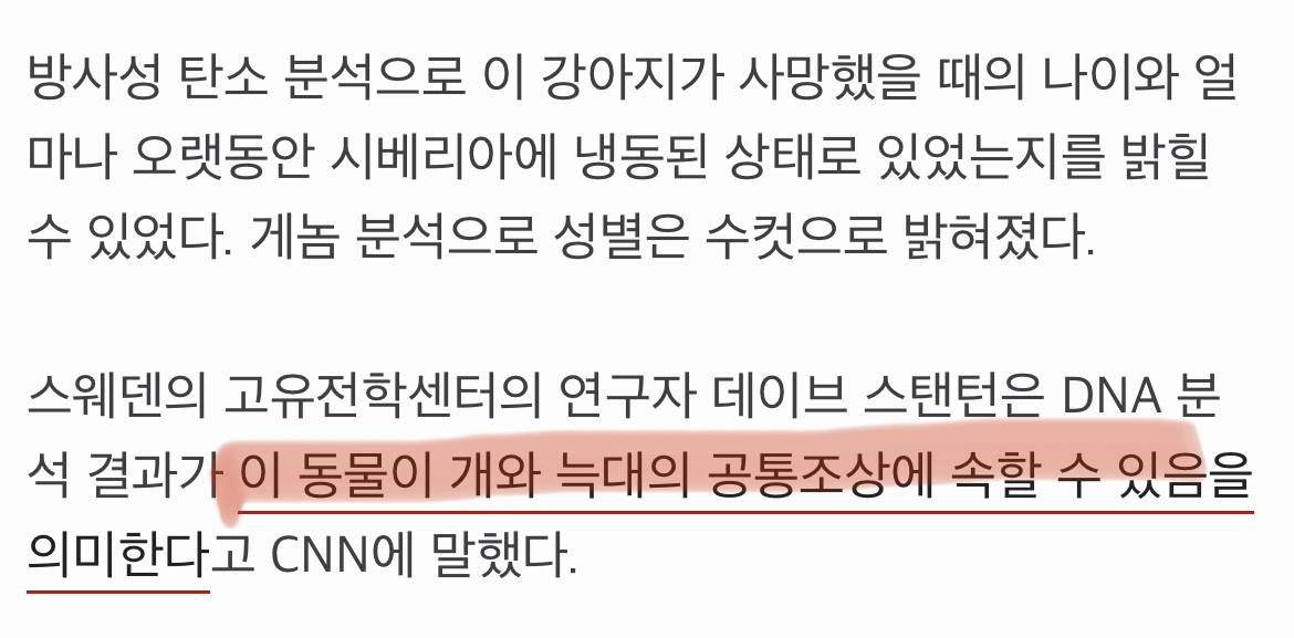 18,000년 전 강아지 화석을 발견했는데....DNA가 다름.jpg - 인스티즈(instiz) 인티포털 카테고리