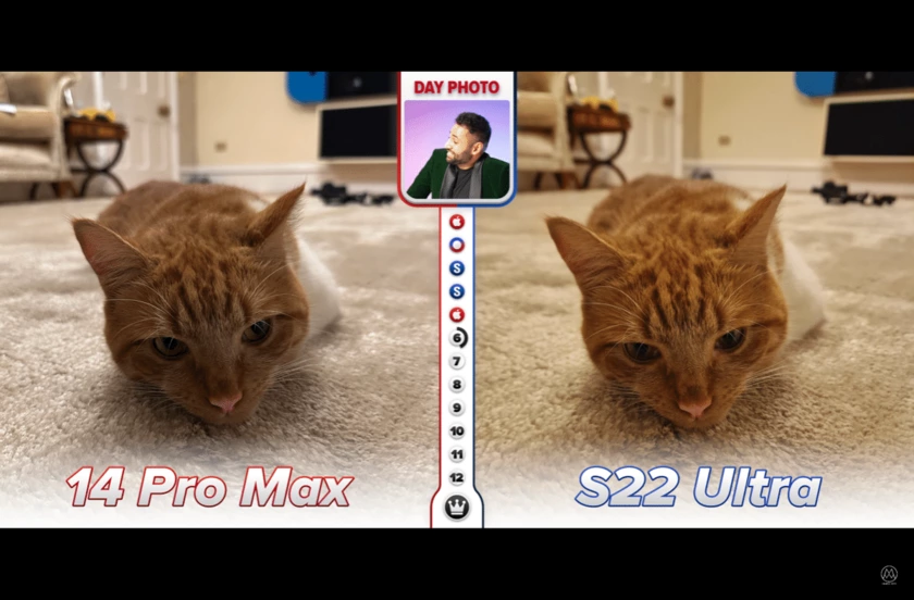 아이폰14 프로맥스, 갤럭시 S22 울트라 사진 색감차이 - 인스티즈(instiz) 이슈 카테고리