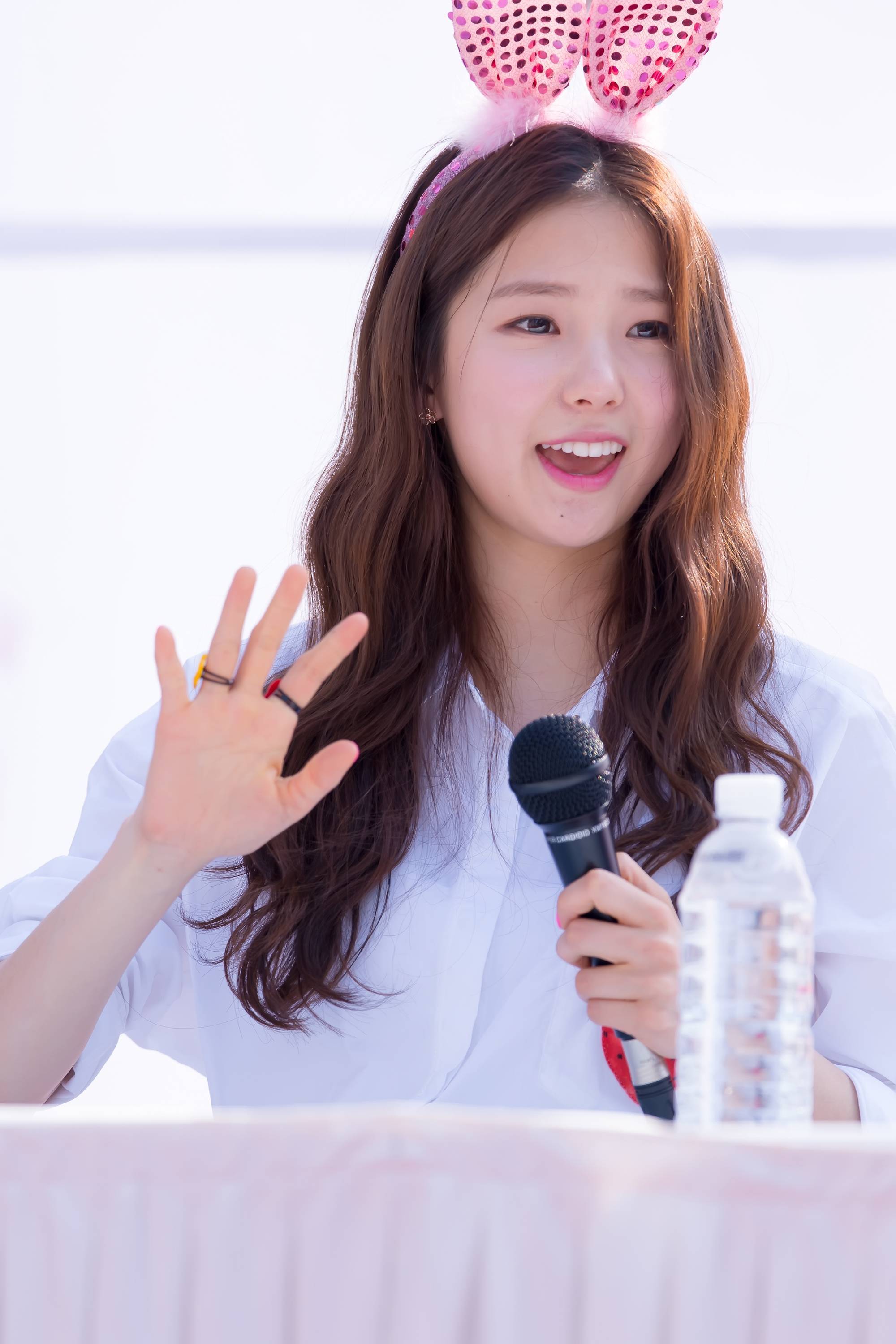 케플러 유진 일반 유머 시보드
