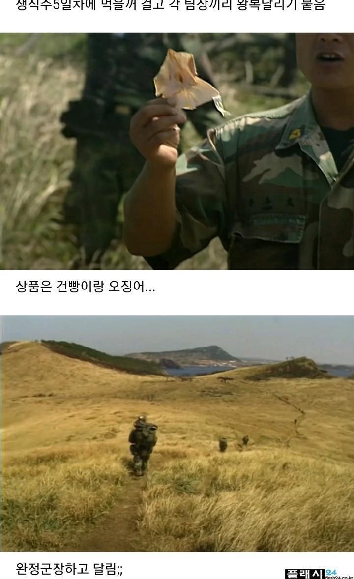 지옥같은 대한민국 Udt 훈련 인스티즈instiz 이슈 카테고리