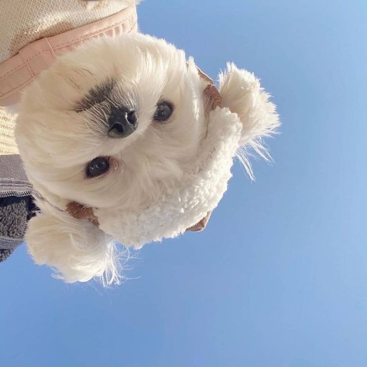 저보다 27살 많은 남자 사귀고 있는데 너무 행복해요 - 인스티즈(instiz) 이슈 카테고리