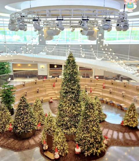 부산 서면 롯데백화점 크리스마스 장식 - 인스티즈(instiz) 인티포털 카테고리