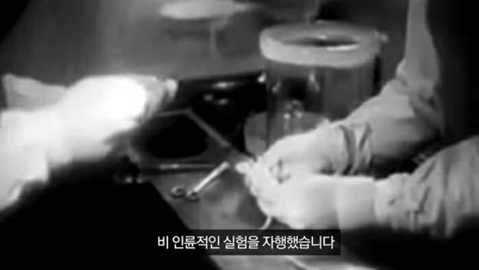 일본 731부대 만행 - 인스티즈(instiz) 이슈 카테고리