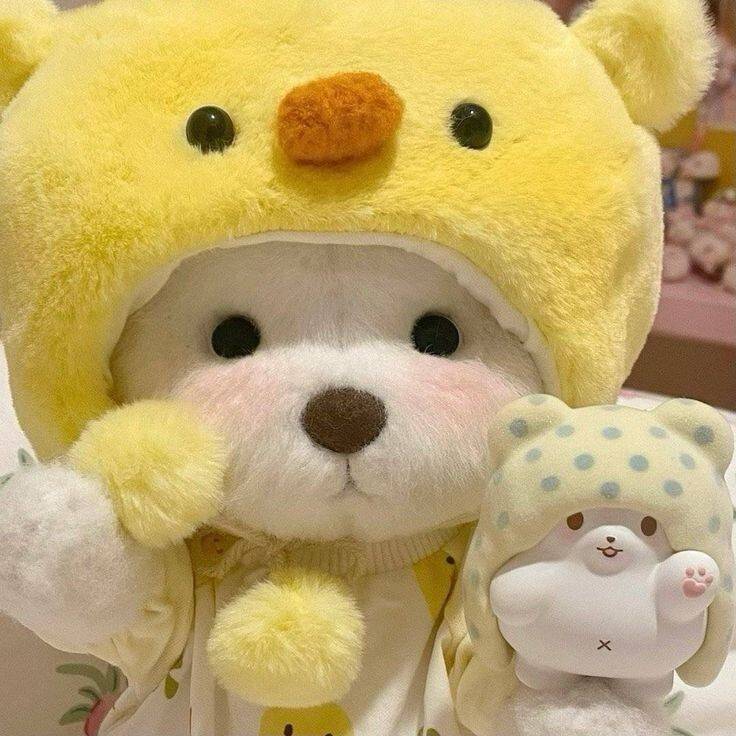 요즘 프사로 많이 보이는 귀여운 곰인형 레나베어 인스티즈 instiz 이슈 카테고리