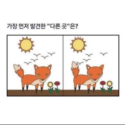 여우심리테스트 - 인스티즈(instiz) 이슈 카테고리