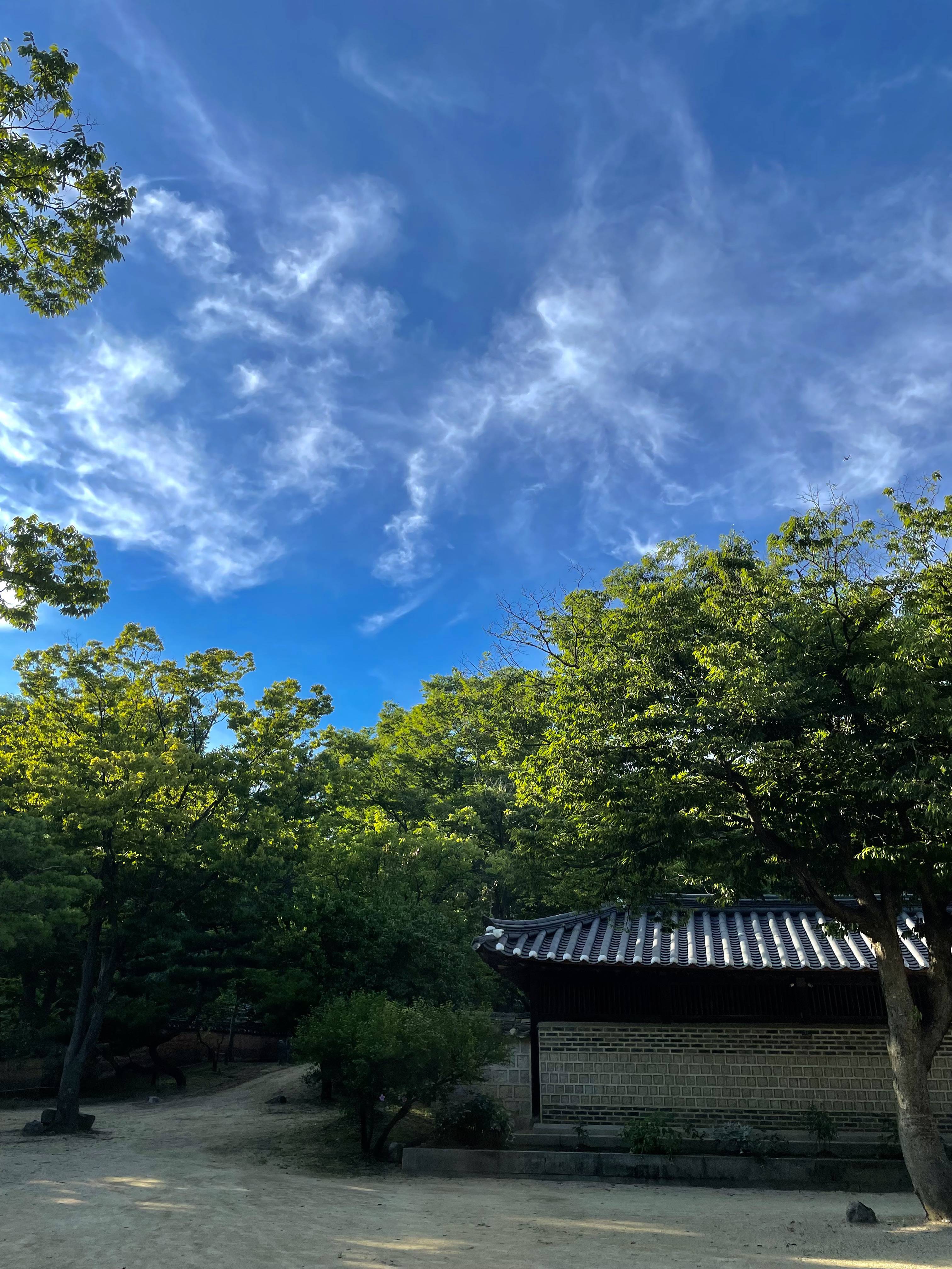 내가찍은 여름의 민속촌🌺 - 인스티즈(instiz) 인티포털 카테고리