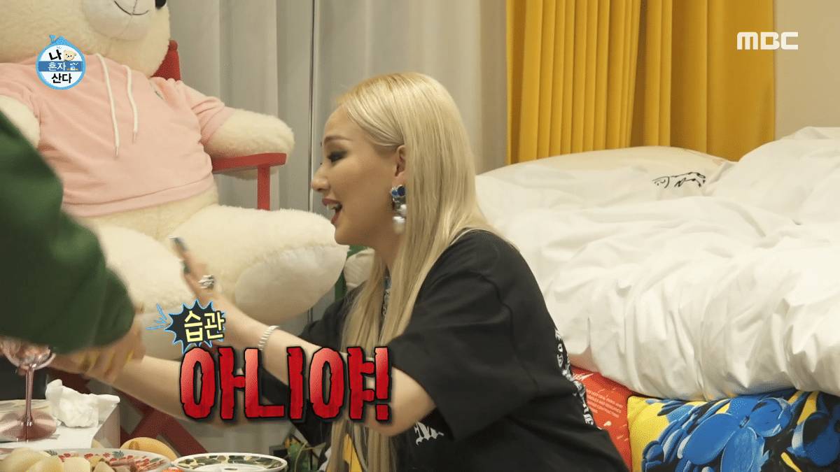 알고 보니 유해진-겨울이(반려견) 관계였던 CL-산다라박 - 인스티즈(instiz) 인티포털 카테고리