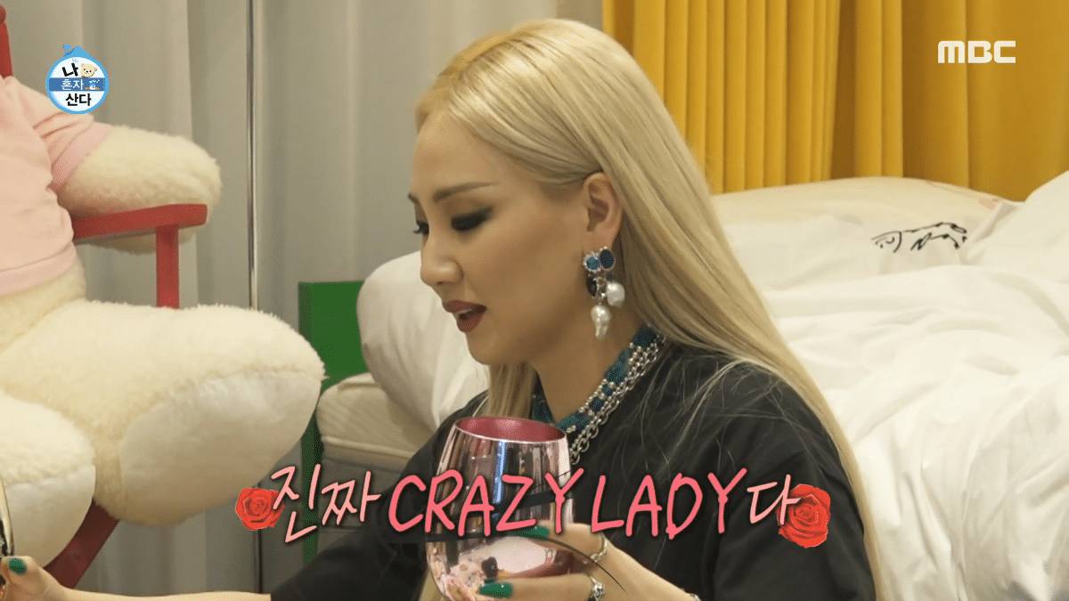 알고 보니 유해진-겨울이(반려견) 관계였던 CL-산다라박 - 인스티즈(instiz) 인티포털 카테고리