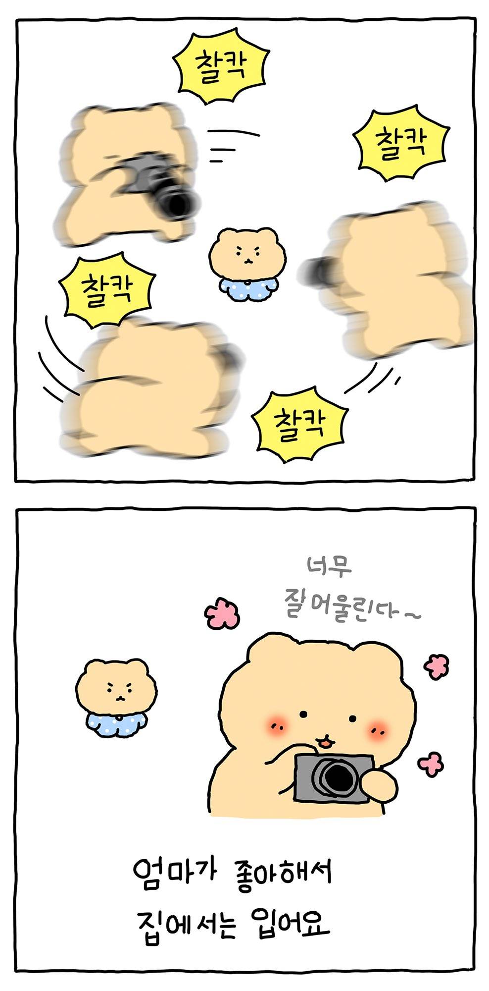 (망그러진 곰) 망그러진 Q&A - 인스티즈(instiz) 인티포털 카테고리