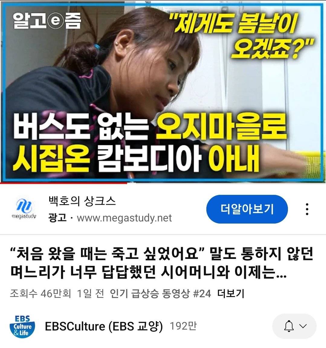 8년전 방송했던 다문화 고부열전을 다시 올린 EBS - 인스티즈(instiz) 인티포털 카테고리