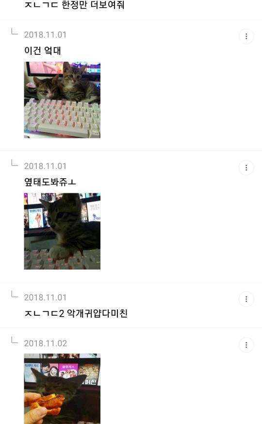 젤리나눔보고 생각난 귀여운 여시들의 감말랭이 나눔 인스티즈 Instiz 이슈 카테고리