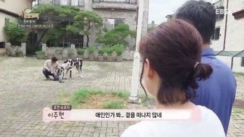 편견없는 대한민국 모음집.zip - 인스티즈(instiz) 인티포털 카테고리